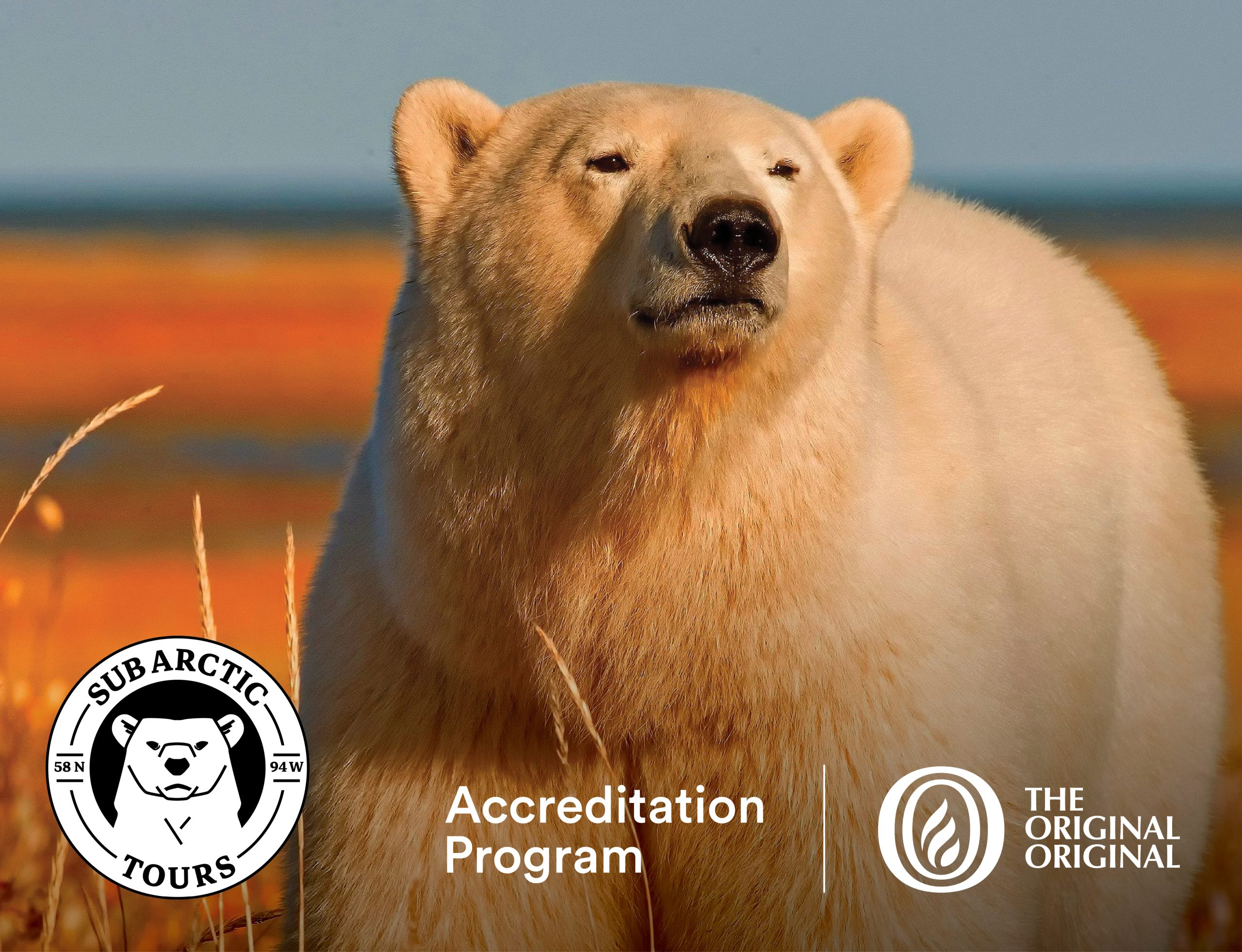 Sub Arctic Tours Achieves The Original Original Accreditation ...